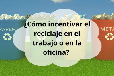 🏫 Importancia del reciclaje en el entorno escolar: guía