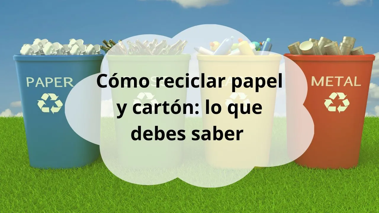 📄 Reciclar papel y cartón correctamente: guía práctica 2025